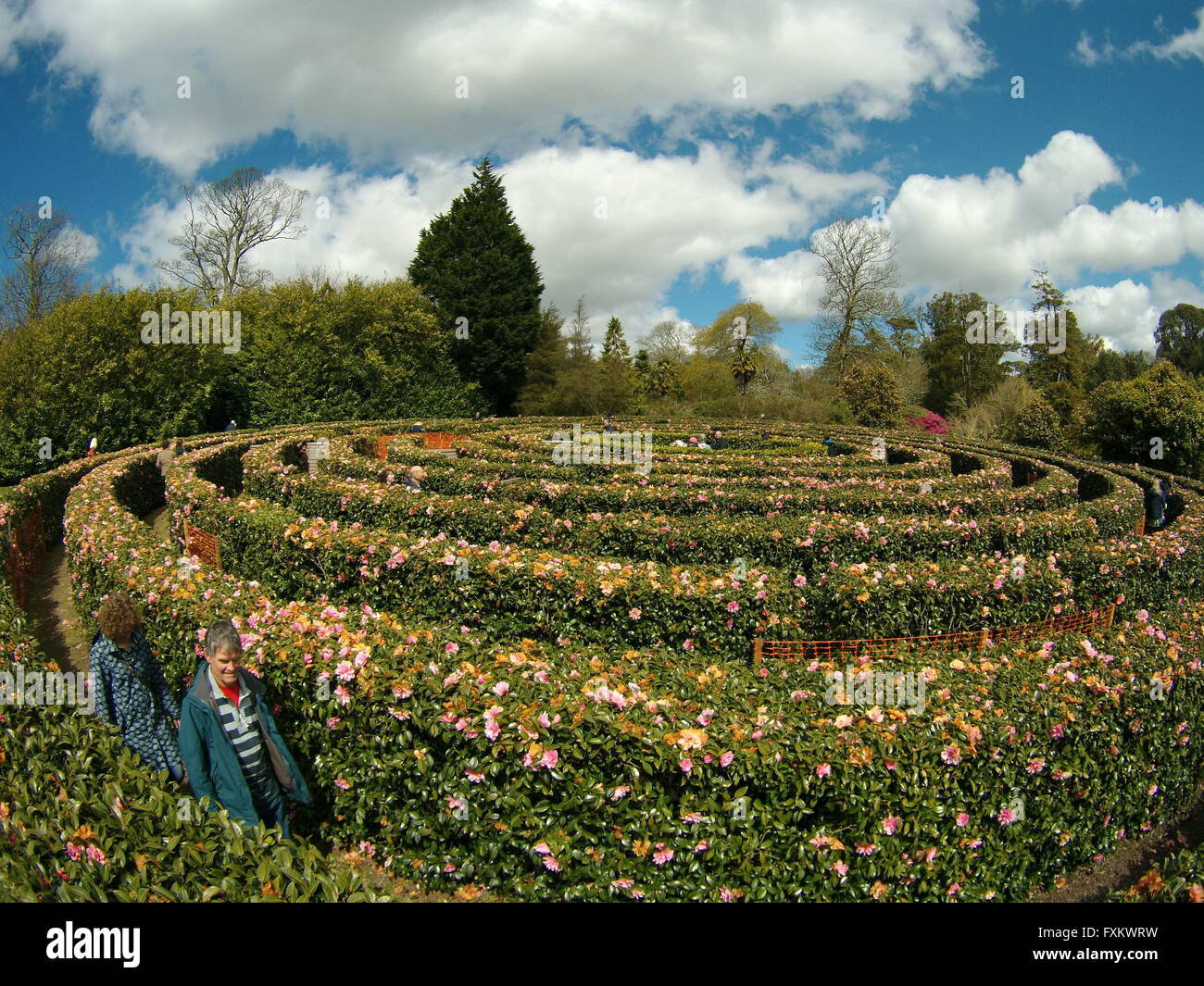 Worlds largest maze hi-res stock photography and images - Alamy