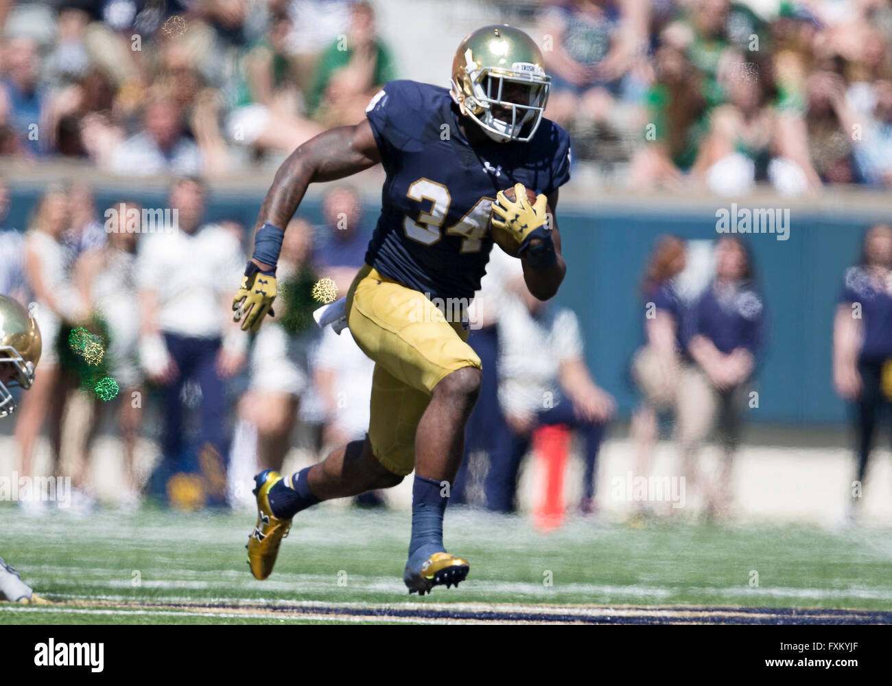 South Bend, Indiana, USA. 16th Apr, 2016. Notre Dame running back ...