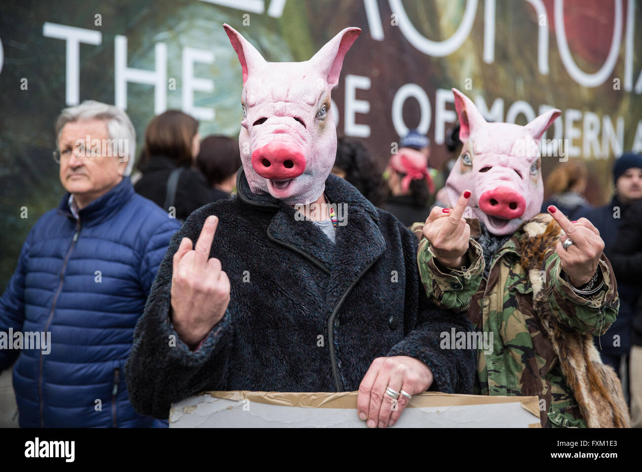 Dancing Pigs High Resolution Stock Photography and Images - Alamy