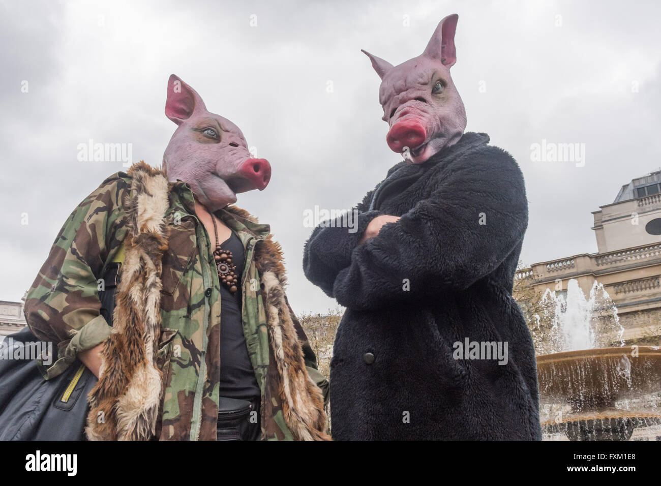 London, UK. 16th April, 2016. Two protesters wearing pig's heads at the ...