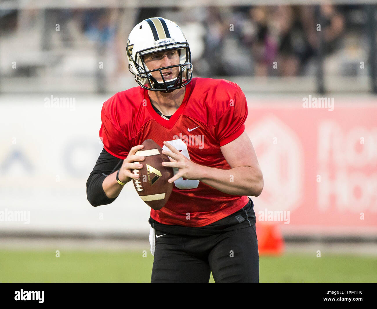 Nef stadium hi-res stock photography and images - Alamy