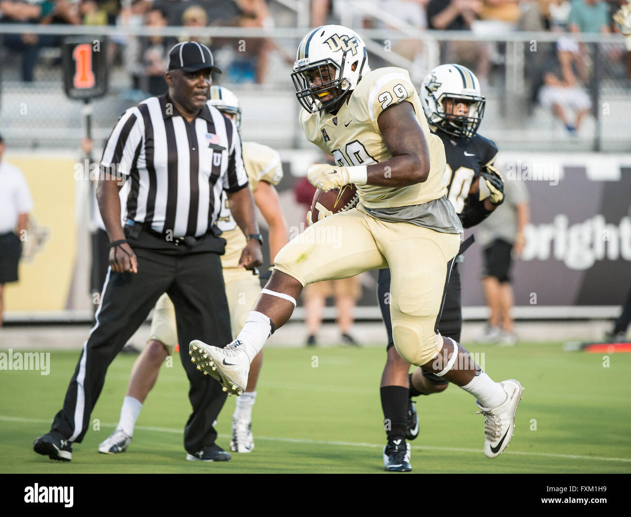 Nef stadium hi-res stock photography and images - Alamy