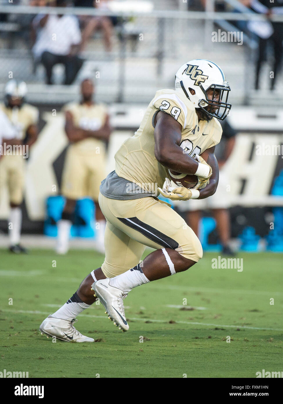 Nef stadium hi-res stock photography and images - Alamy