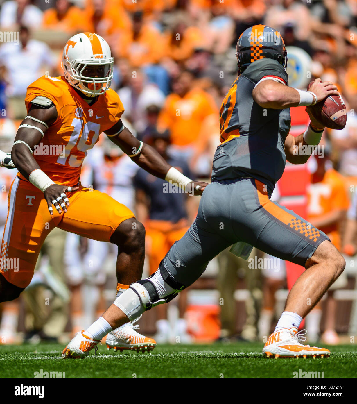 April 16, 2016 - Quinten Dormady #12 scrambles from Darrell Taylor #19 ...