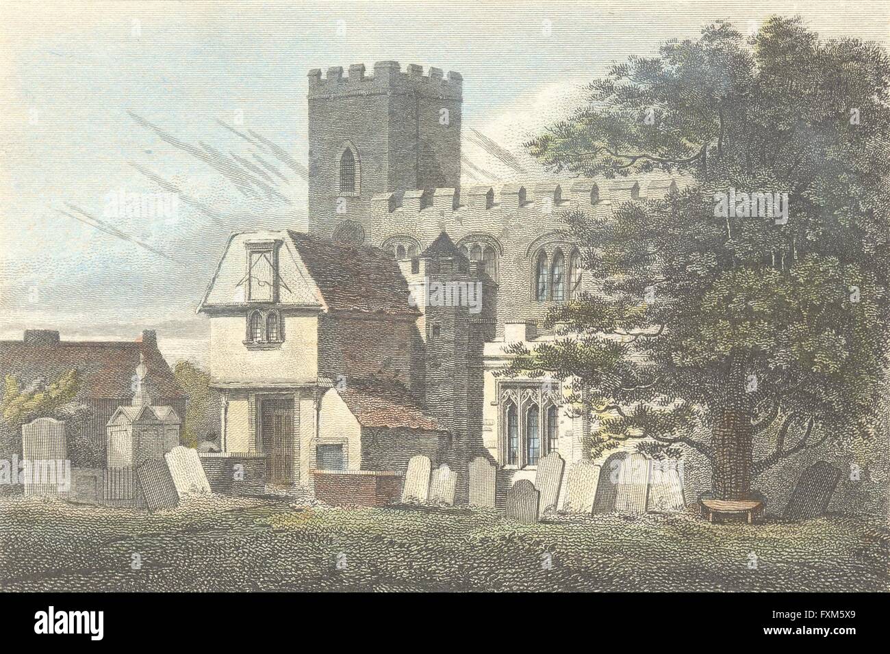 Beauties hi-res stock photography and images - Alamy