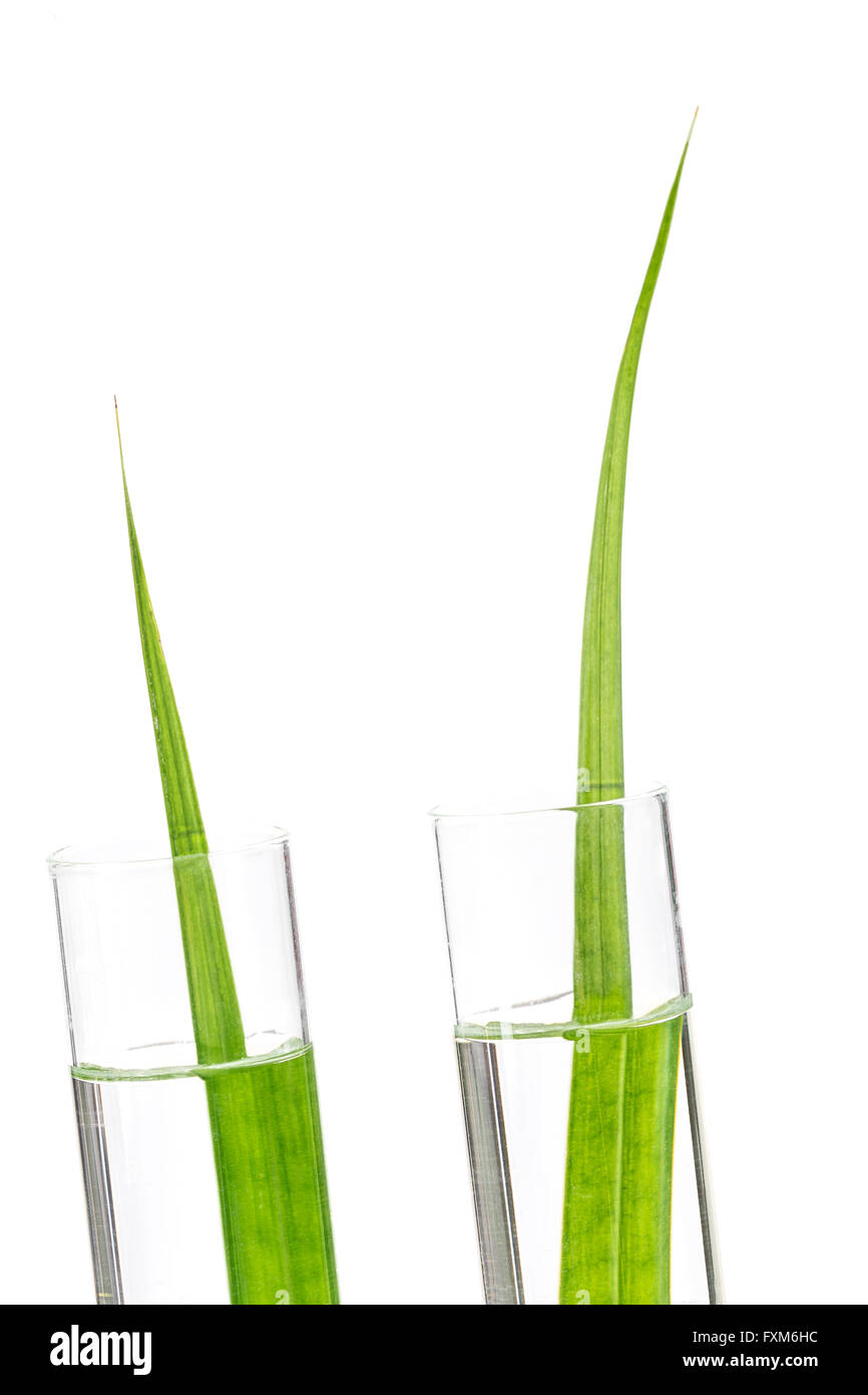 Laboratory dna green Cut Out Stock Images & Pictures - Alamy