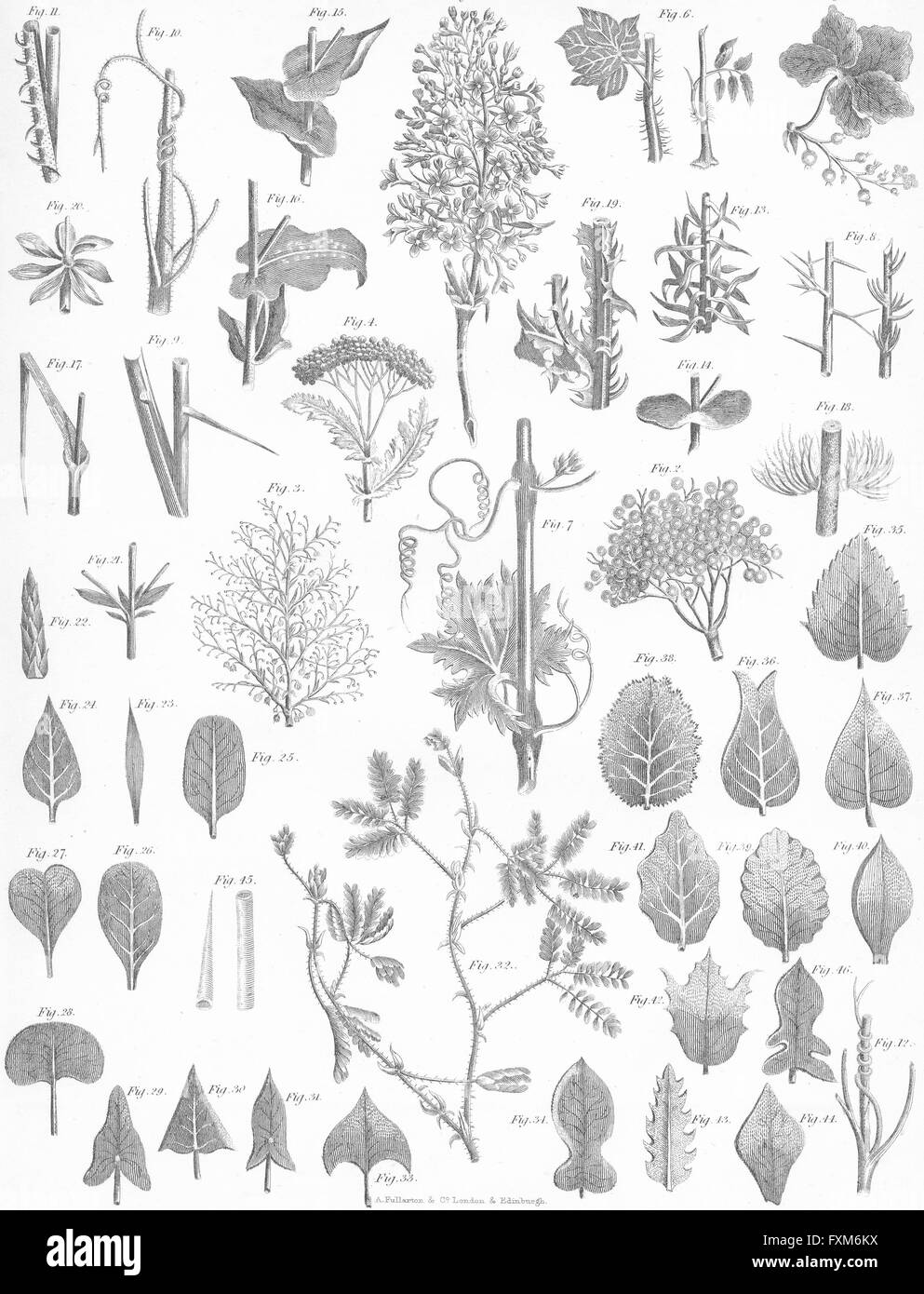 Terminology hi-res stock photography and images - Alamy