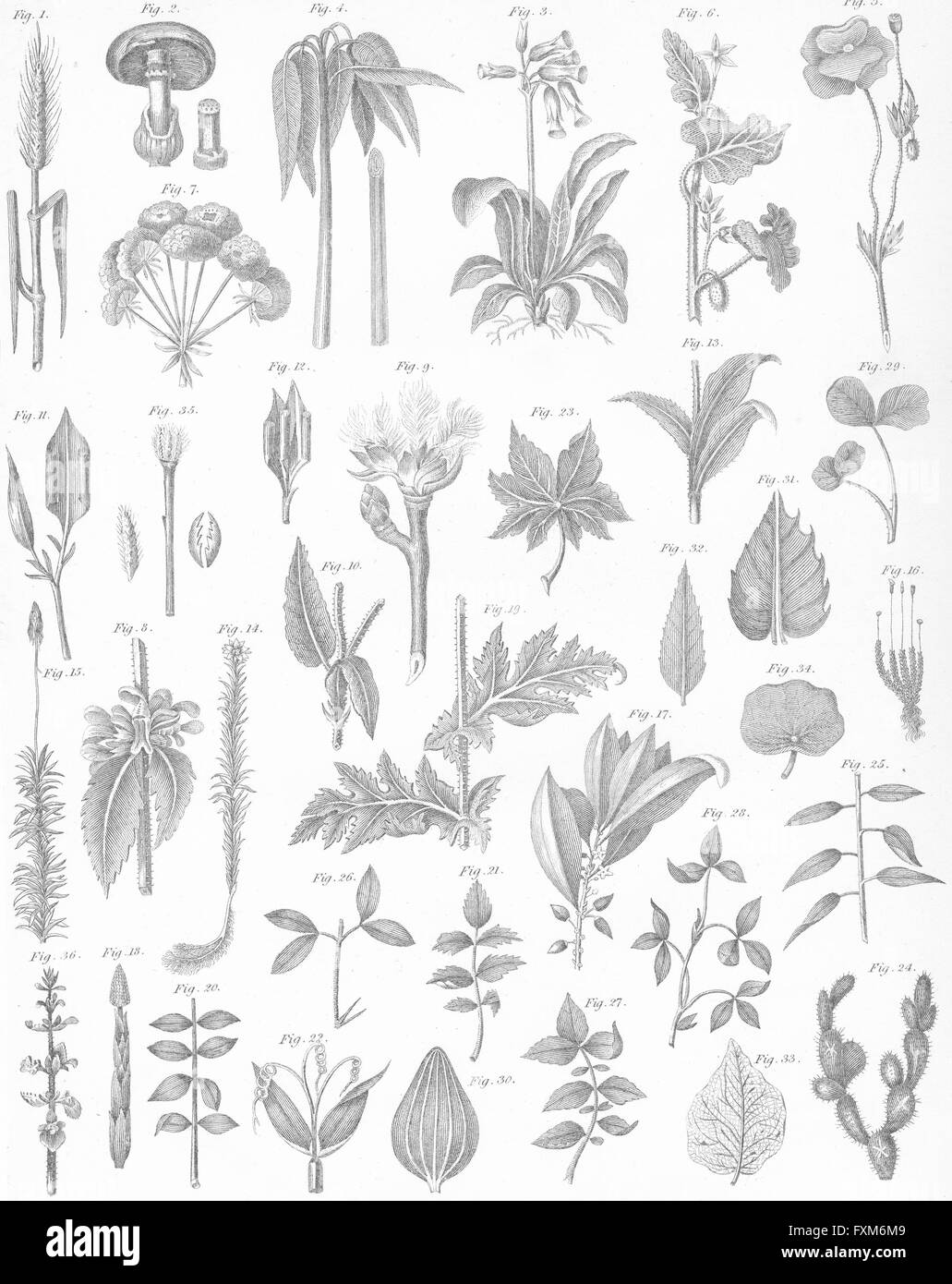 Terminology hi-res stock photography and images - Alamy