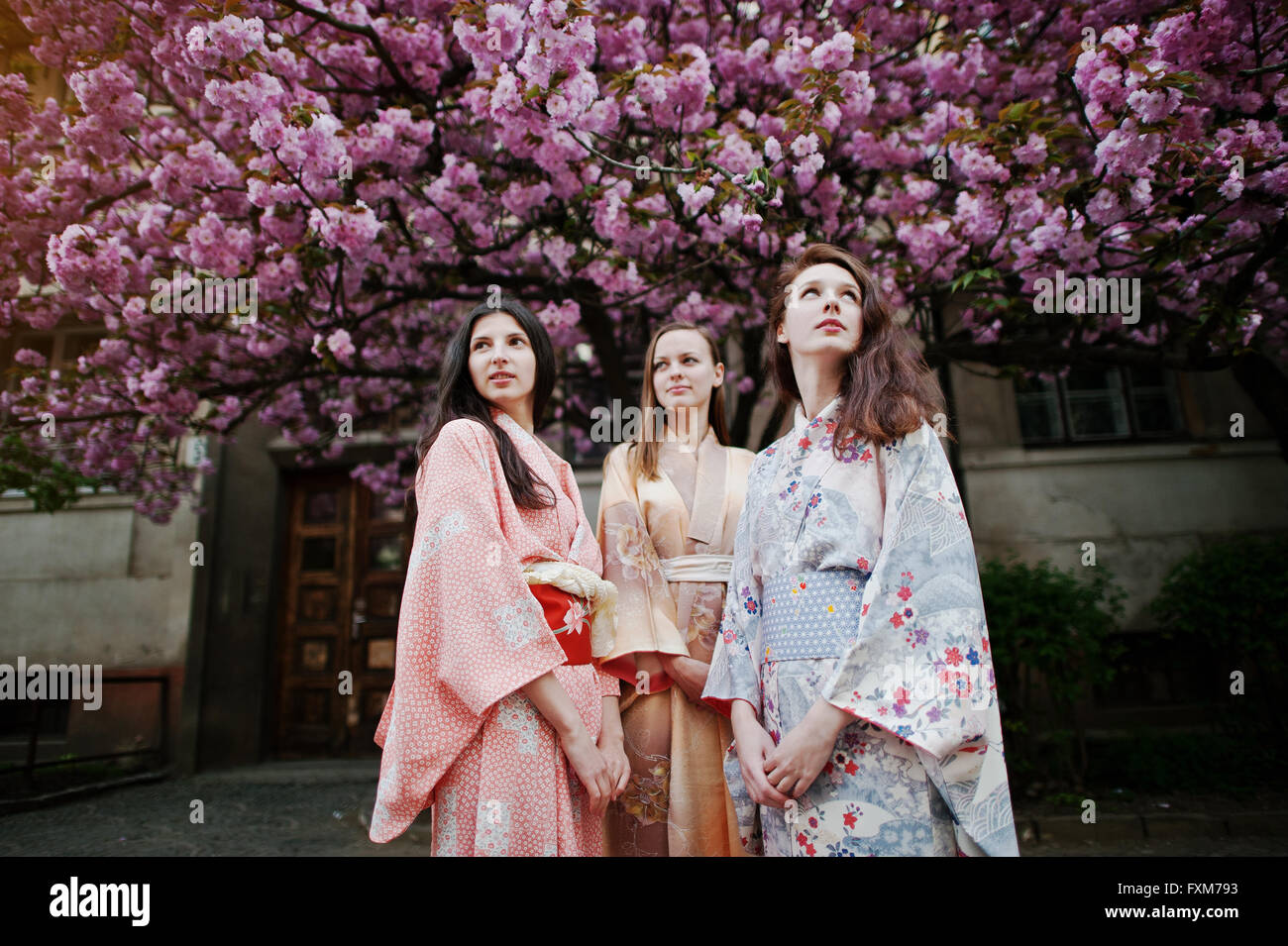 Three european girls wearing traditional japanese kimono background ...