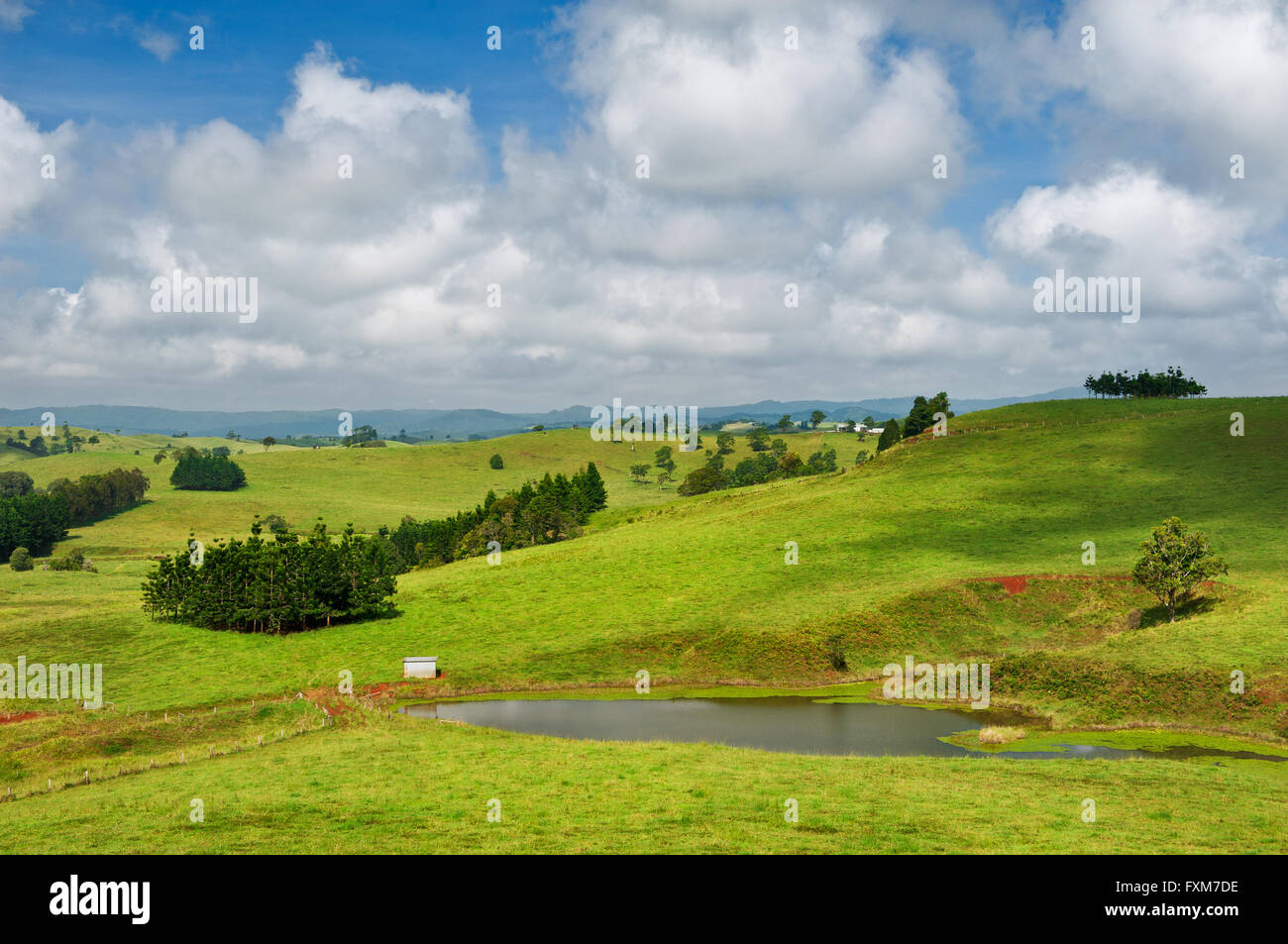 Atherton tableland hi-res stock photography and images - Alamy