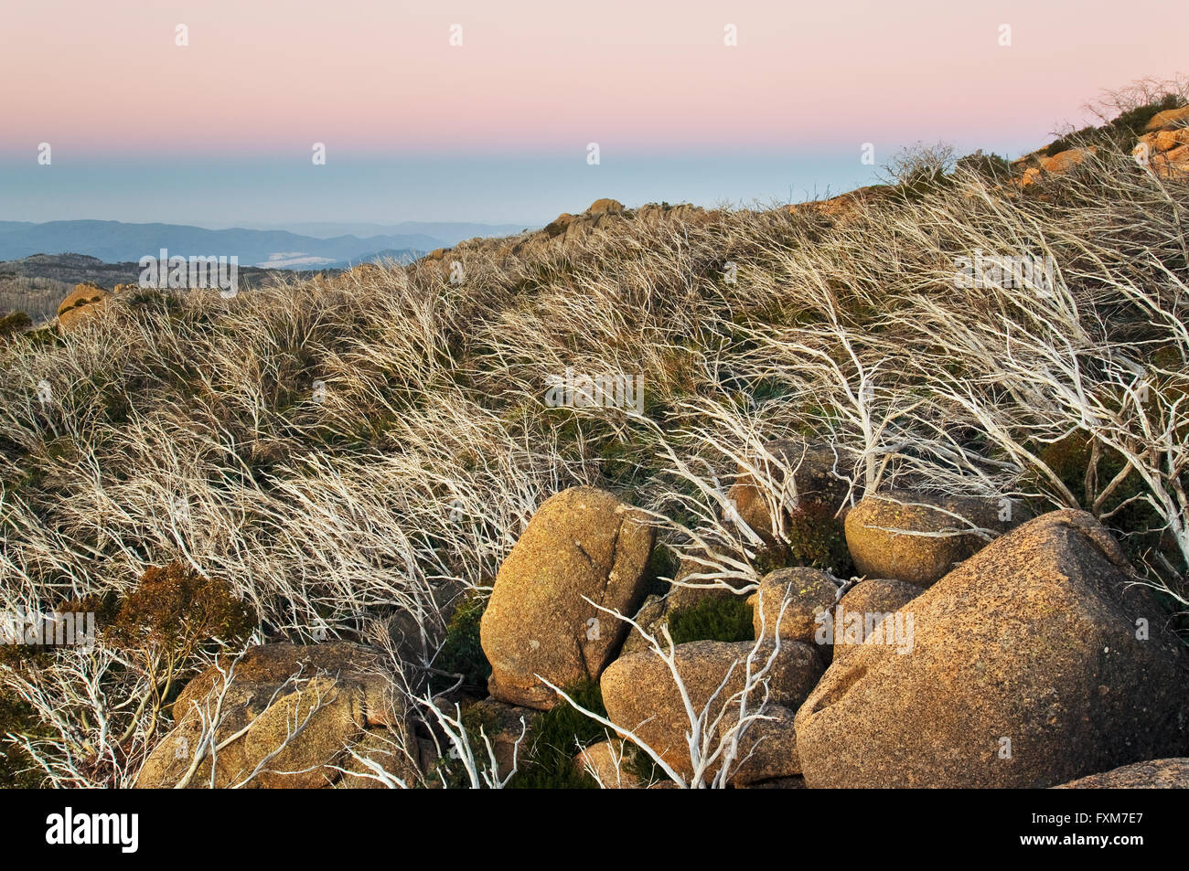 Plateau australia hi-res stock photography and images - Alamy