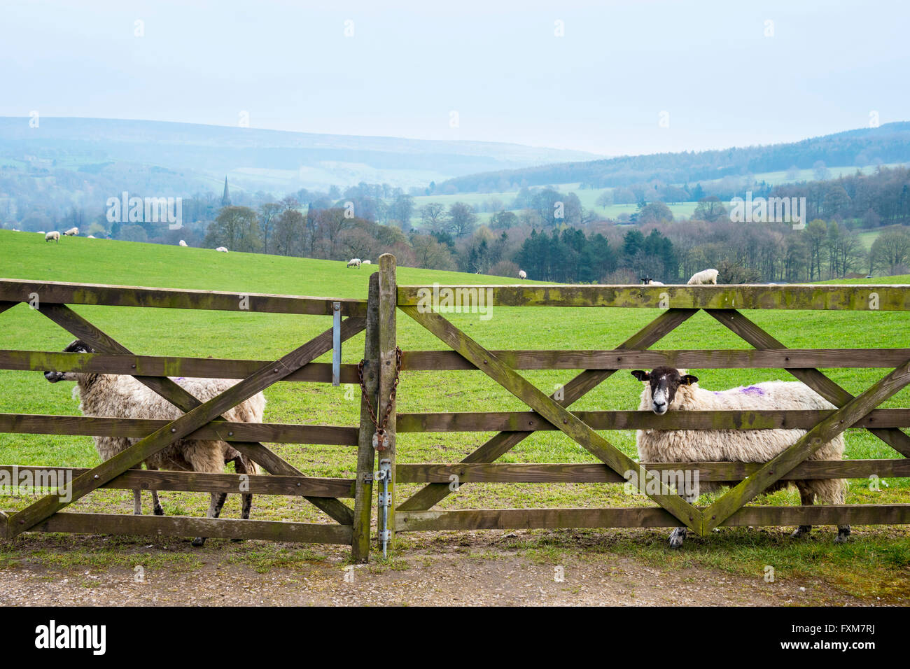 Gate 2 two hi-res stock photography and images - Alamy