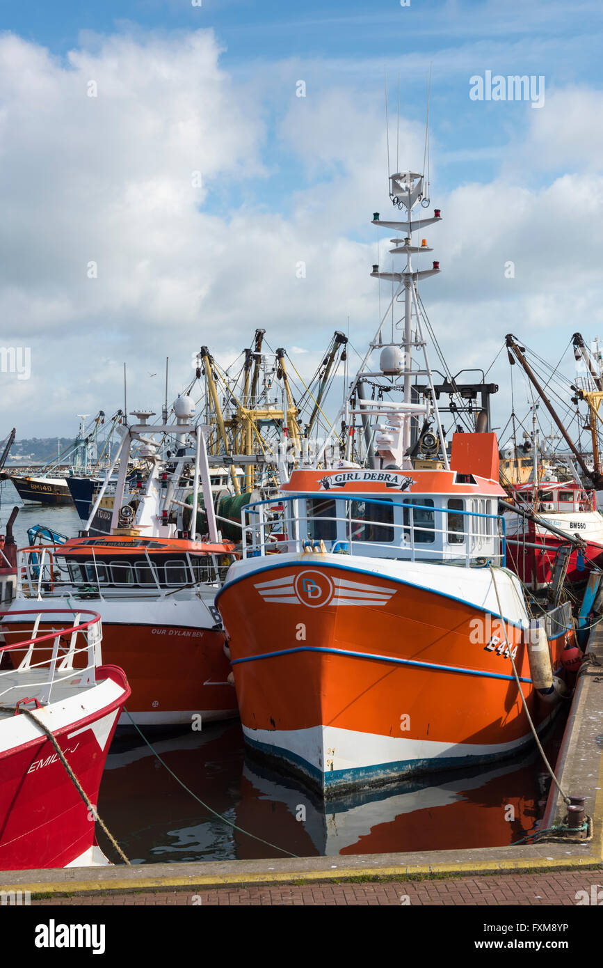 Fishing boats moored in the harbour at the fishing port of Brixham ...