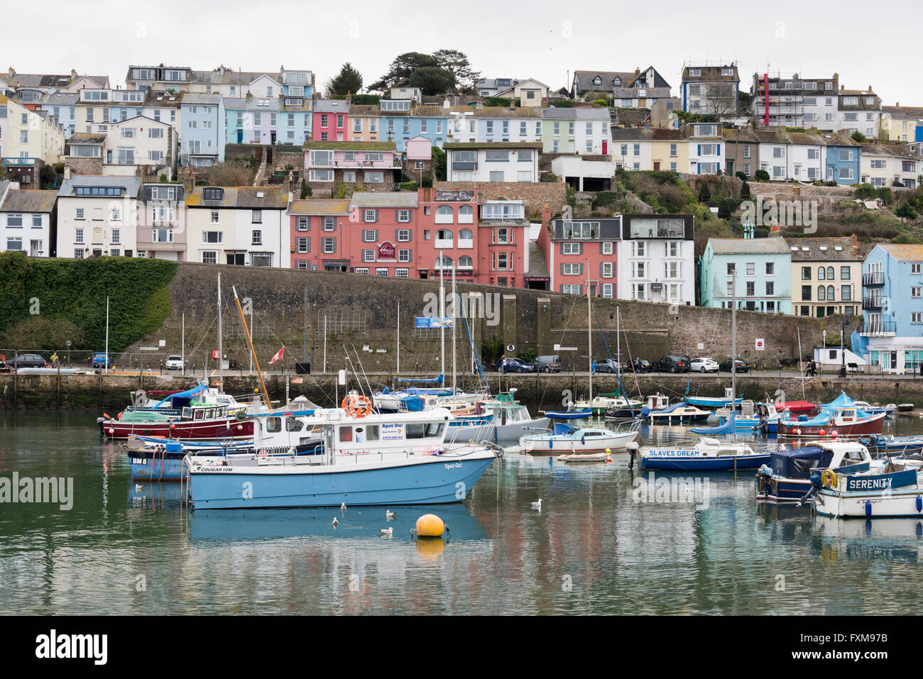 Fishing boats moored in the harbour at the fishing port of Brixham ...