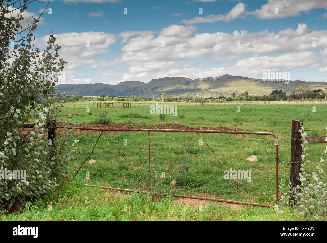 Photo of farm gate in rural setting with cloudscape Stock Photo - Alamy