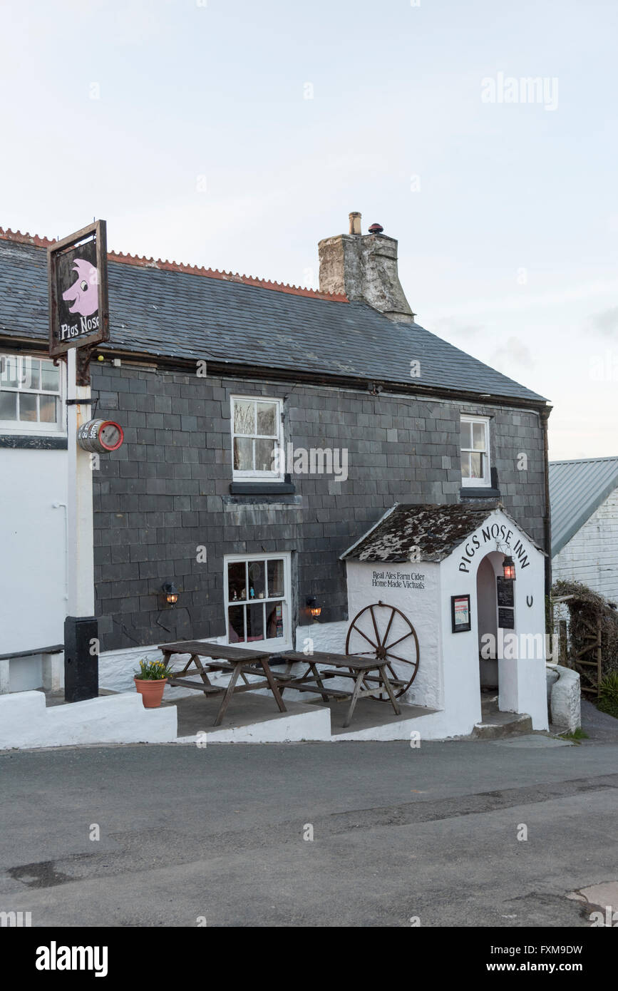 The Pigs Nose traditional 16th century English pub in East Prawle Devon ...