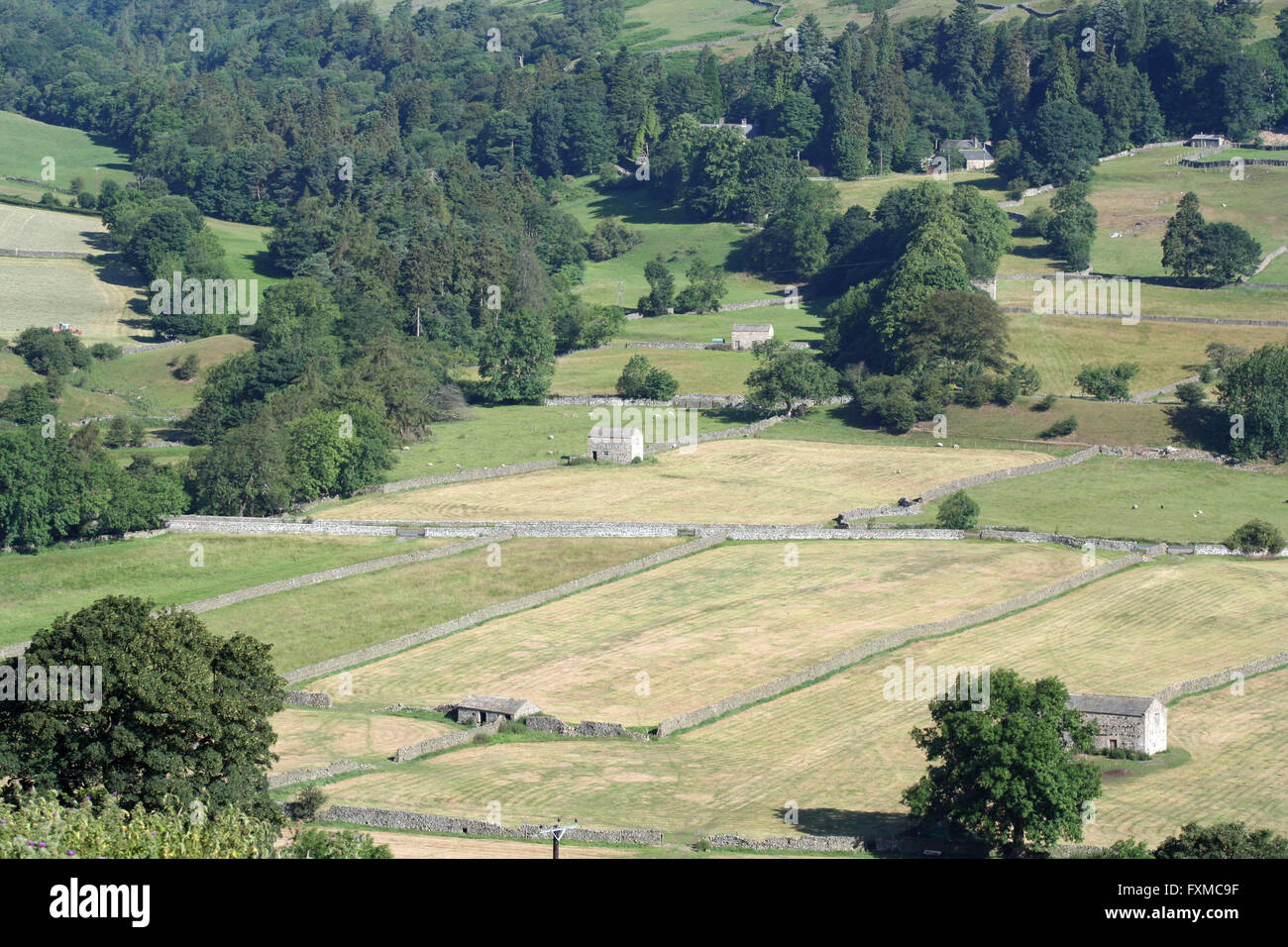 Around reeth hi-res stock photography and images - Alamy