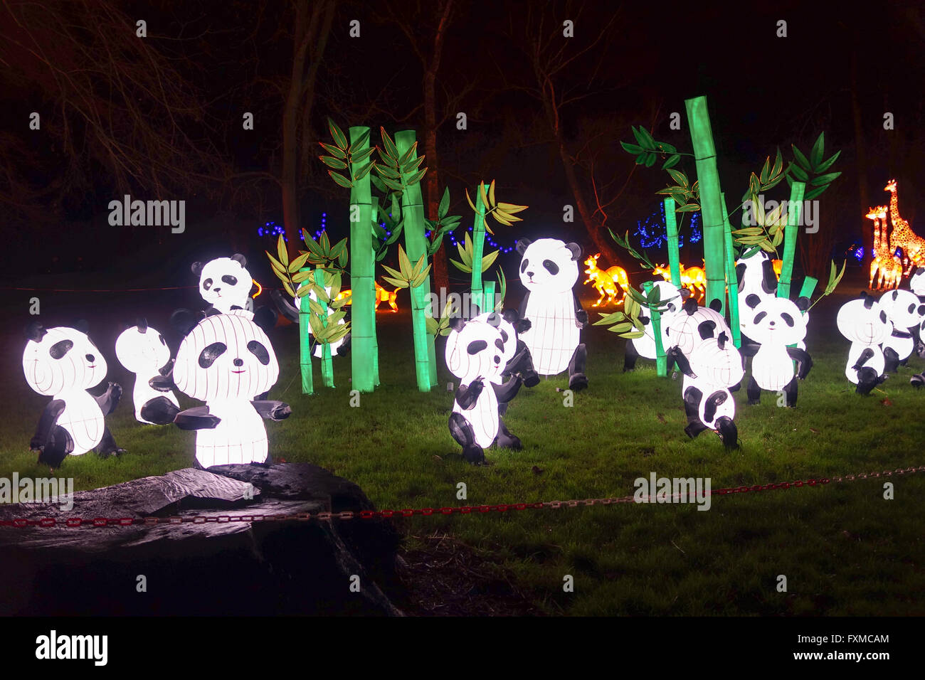 Beautiful white cat cartoon animation hi-res stock photography and ...