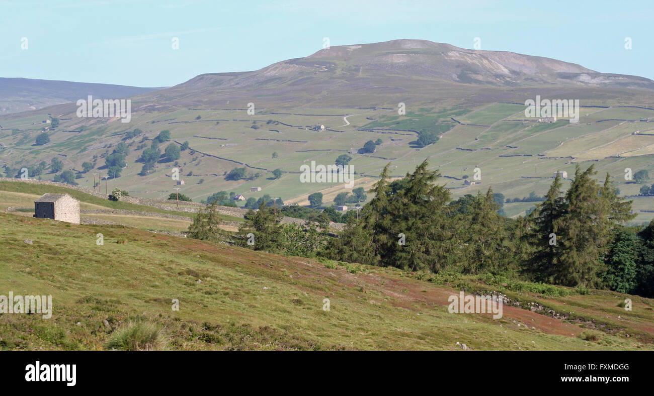 Hills above Reeth Stock Photo - Alamy