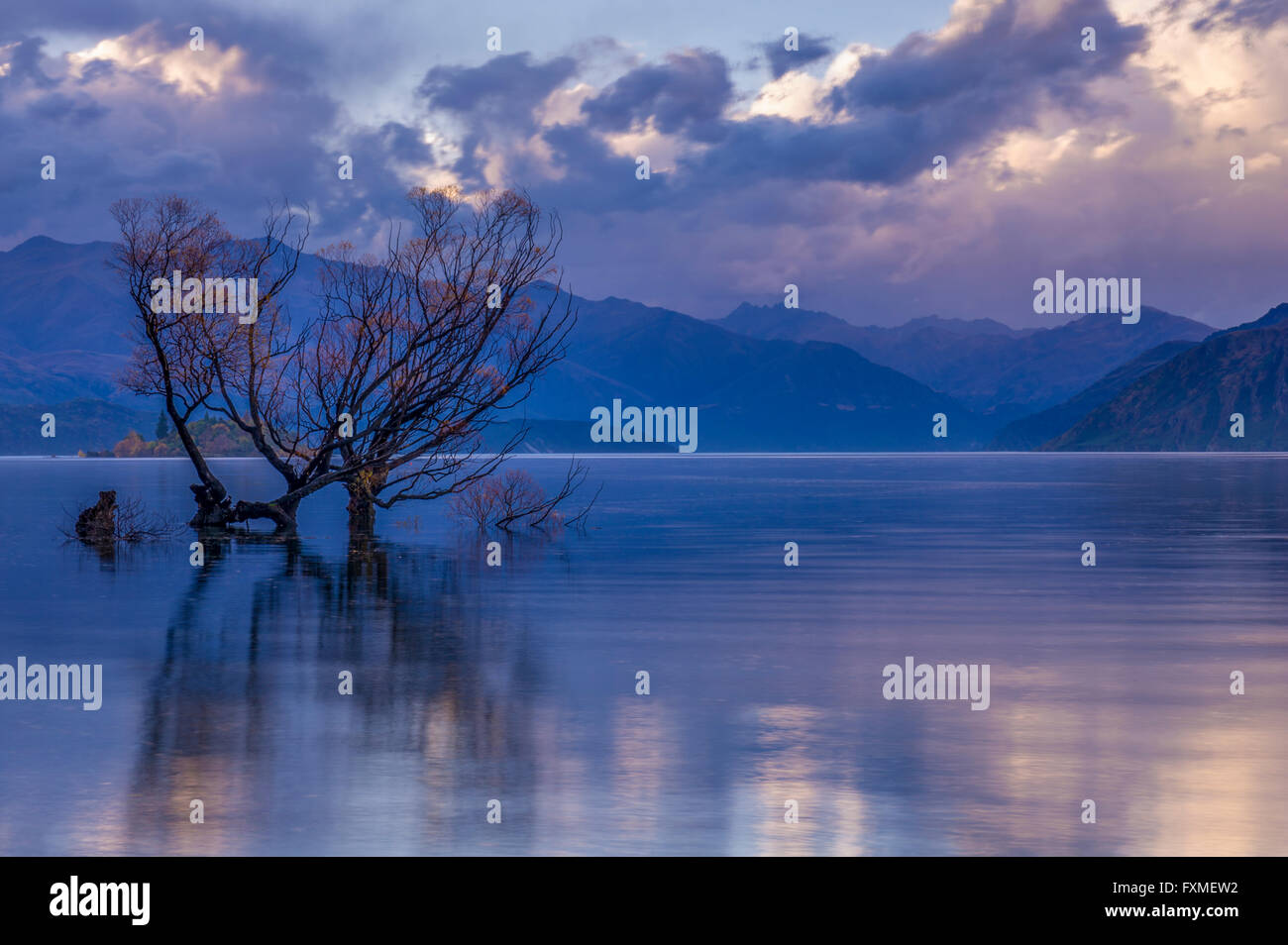 Lake Wanaka, South Island, New Zealand Stock Photo - Alamy