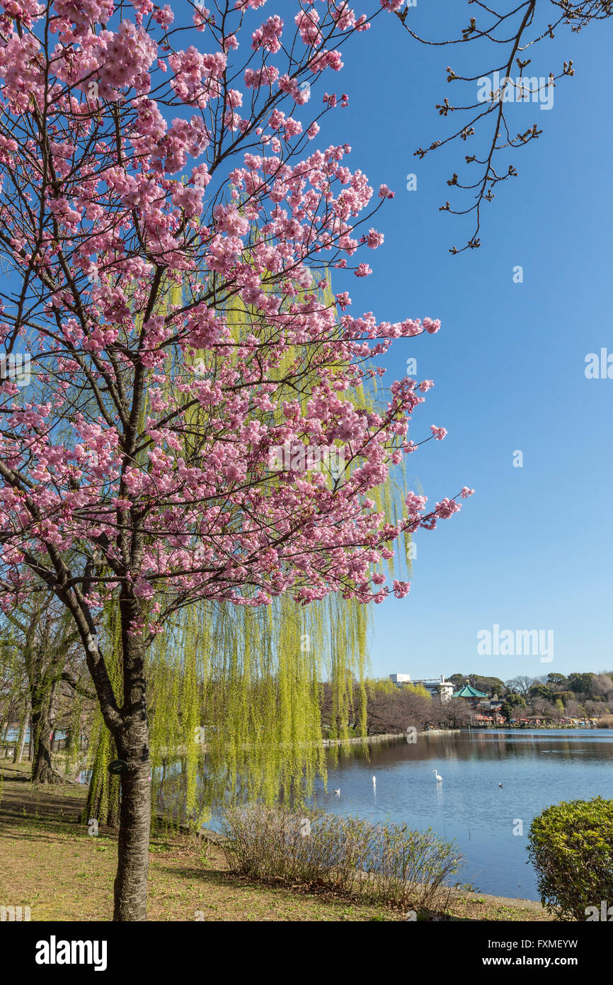 Ueno japan hi-res stock photography and images - Alamy