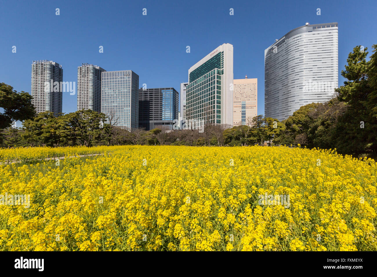 Tokyo hamarikyu gardens hi-res stock photography and images - Alamy