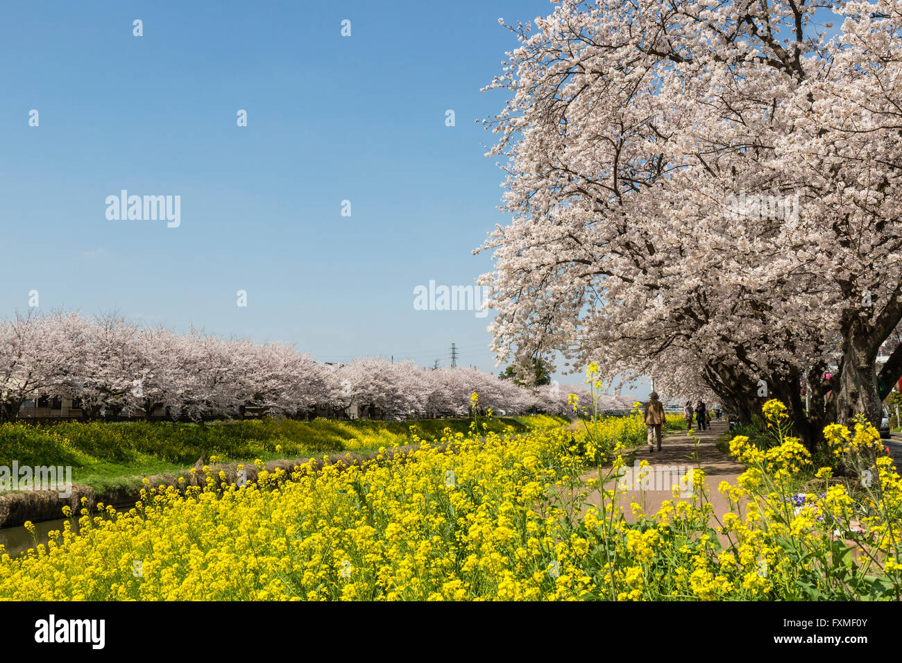 Kuki people hi-res stock photography and images - Alamy