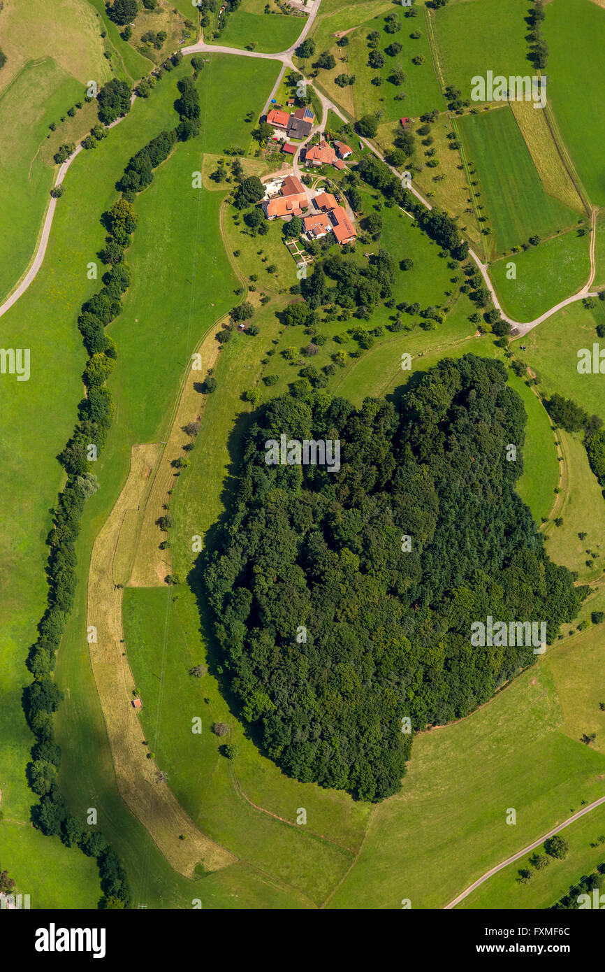 Aerial view, Black Forest landscape with woods and fields, Black Forest ...