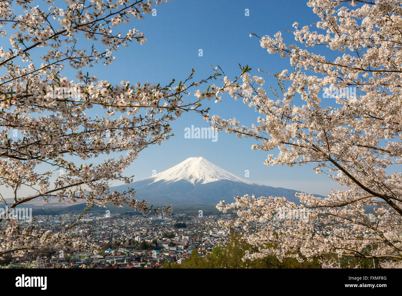 Mount Fuji, Fujiyoshida, Japan Stock Photo - Alamy