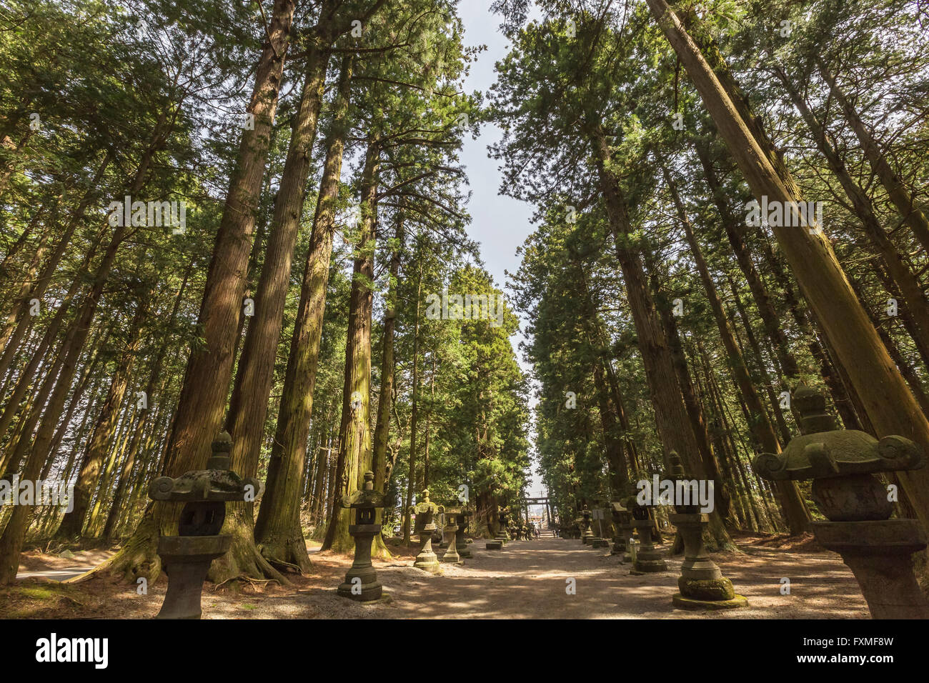 North Entrance Fuji Sengen Shrine, Fujiyoshida, Japan Stock Photo - Alamy