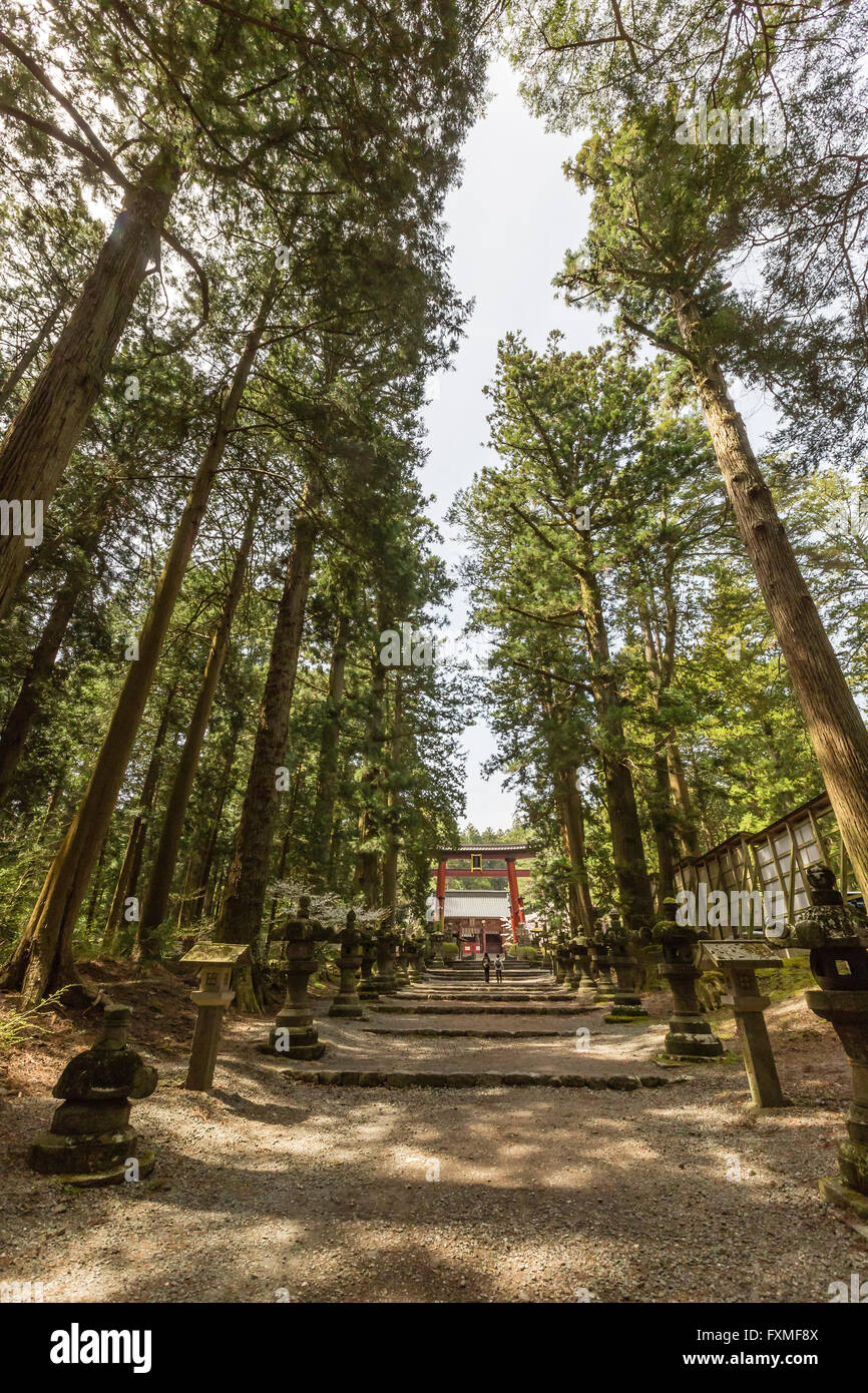 Sengen shrine hi-res stock photography and images - Alamy