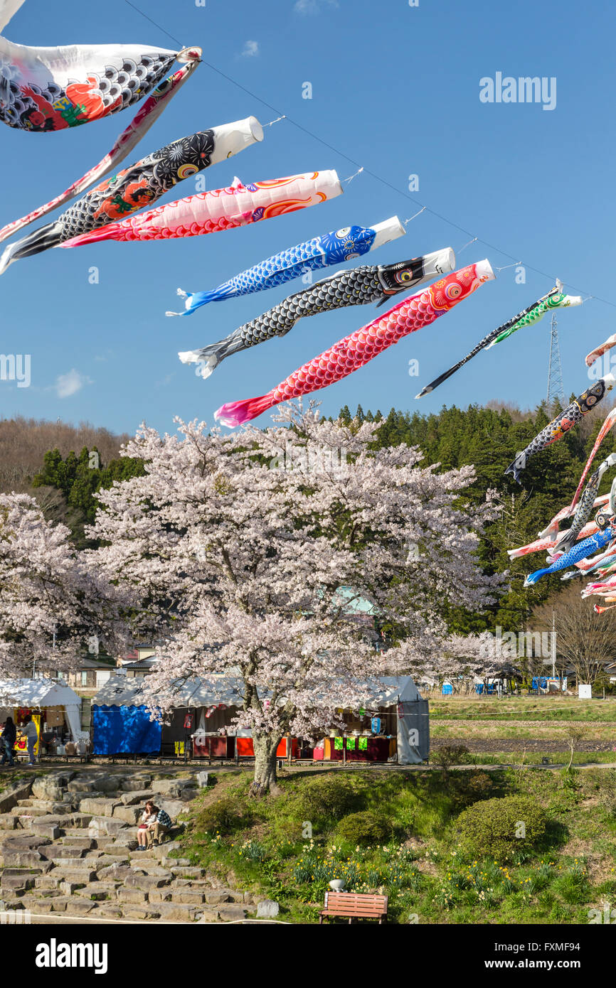 National Hitachi Seaside Park, Hitachinaka, Asia, Japan Stock Photo - Alamy