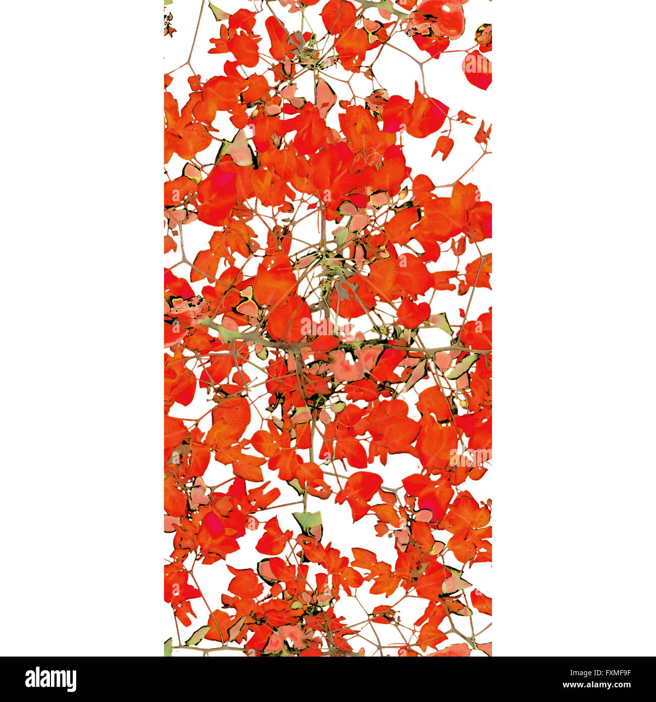 White background with striped decorated floral collage design borders ...