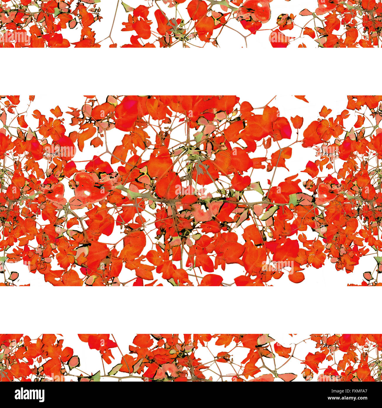 White background with striped decorated floral collage design borders ...