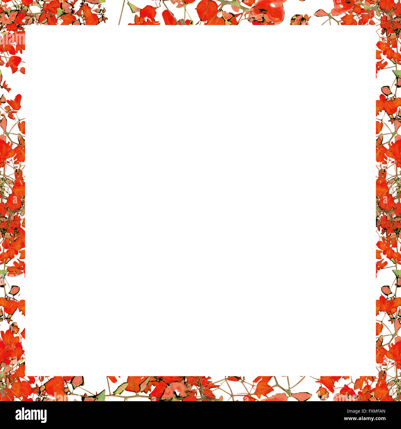 White background with decorated floral collage design borders in vivid ...