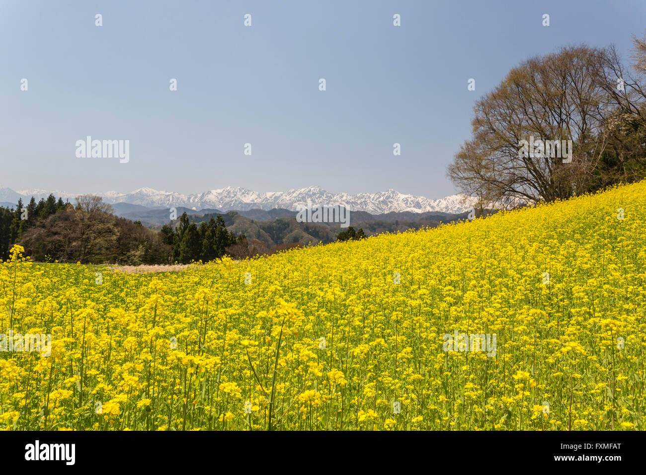 Chikuma River Park, Nagan, Japan Stock Photo - Alamy