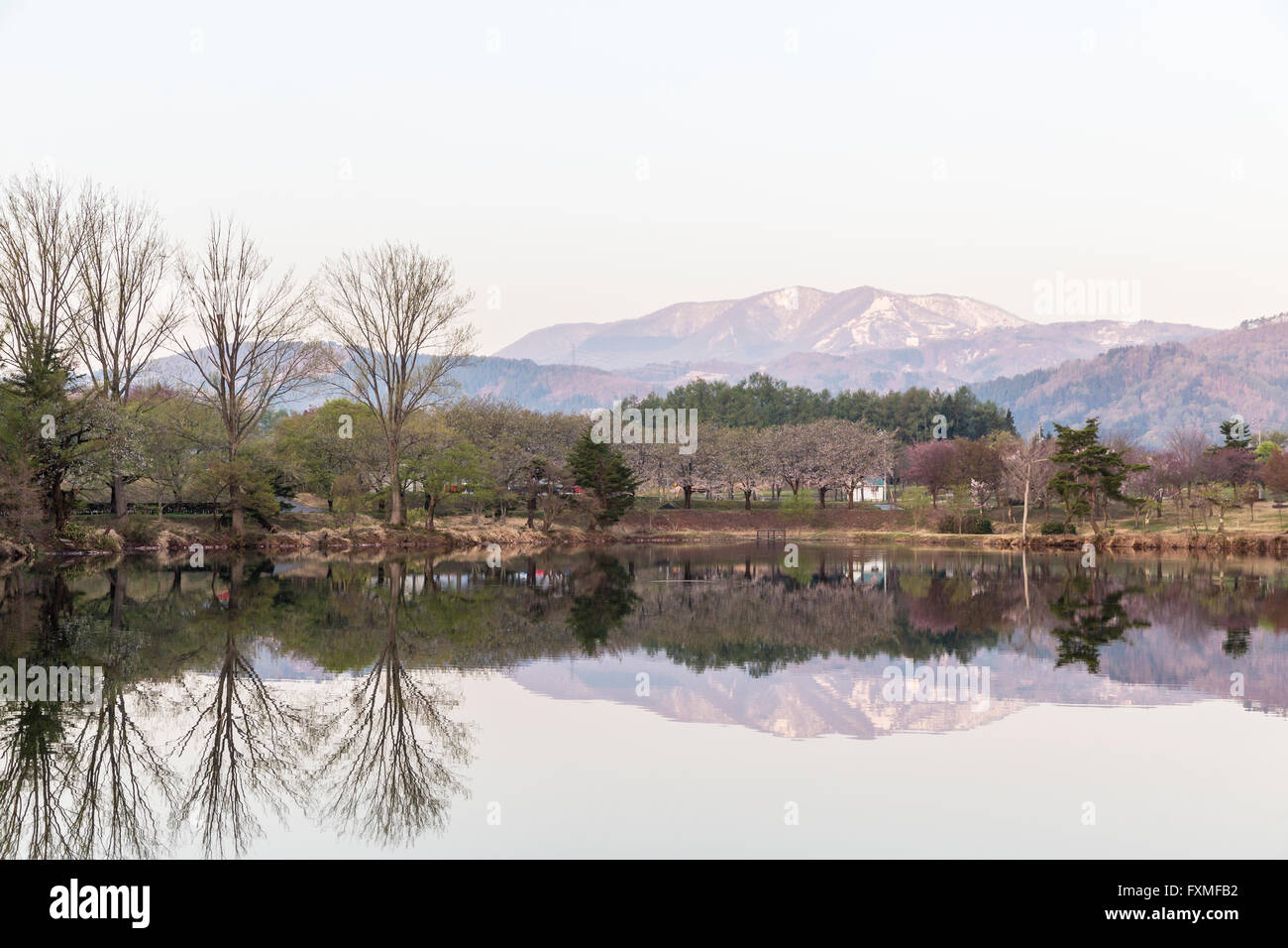 Nagamine sports park hi-res stock photography and images - Alamy