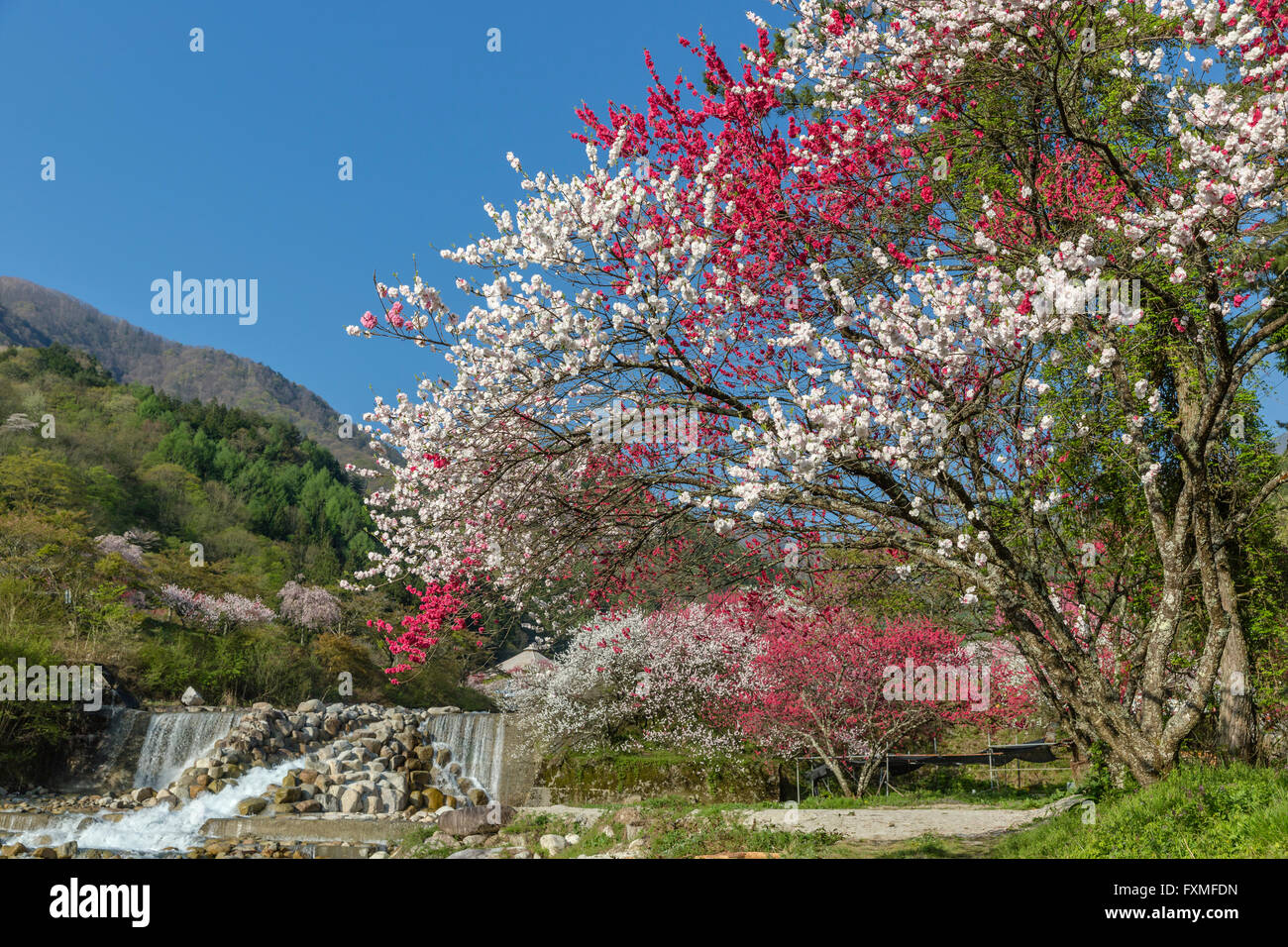 Japan river stone hi-res stock photography and images - Alamy