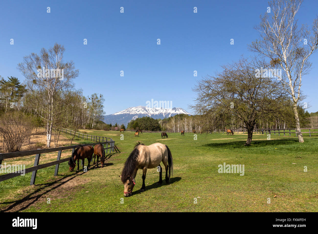 Ranch at ontakesan hi-res stock photography and images - Alamy