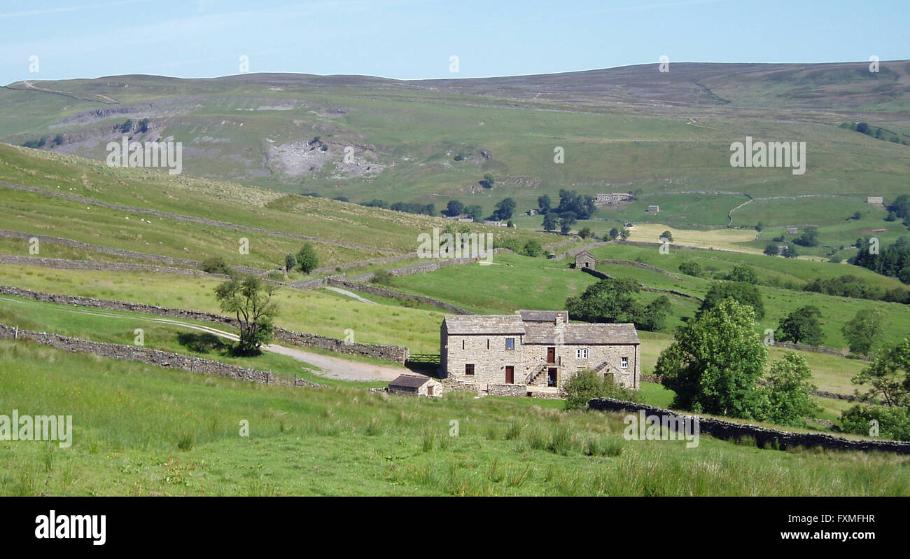Farm Buildings in Upper Swaledale Stock Photo - Alamy