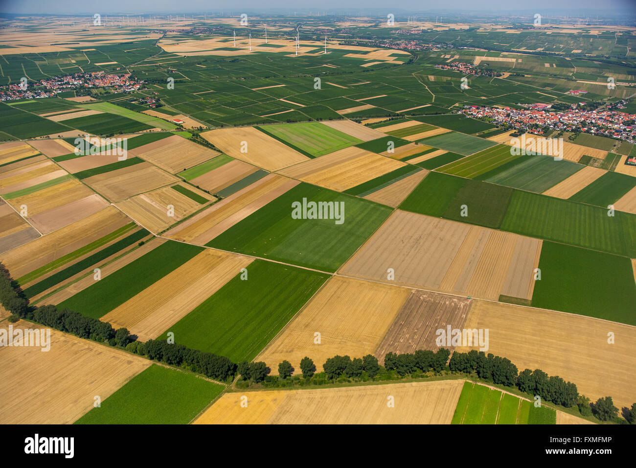 Aerial view, fields at Mörstadt, farming, agriculture, Worms, Rhineland ...