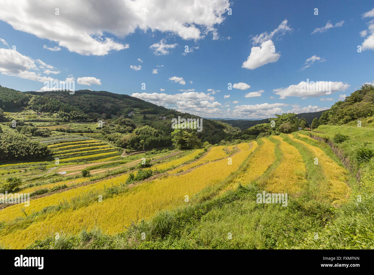 Tanada japan hi-res stock photography and images - Alamy