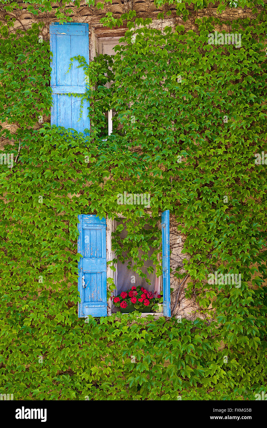 Vine covered house hi-res stock photography and images - Alamy