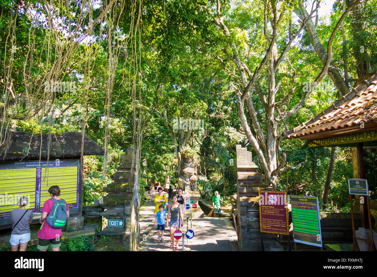 Monkey Forest, Ubud, Bali, Indonesia Stock Photo - Alamy