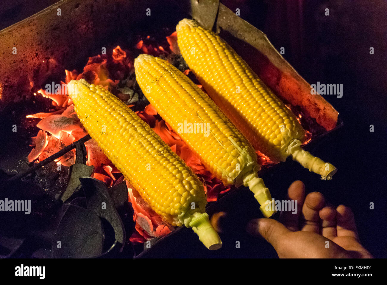 Grilled Corn, Kuta, Bali, Indonesia Stock Photo - Alamy