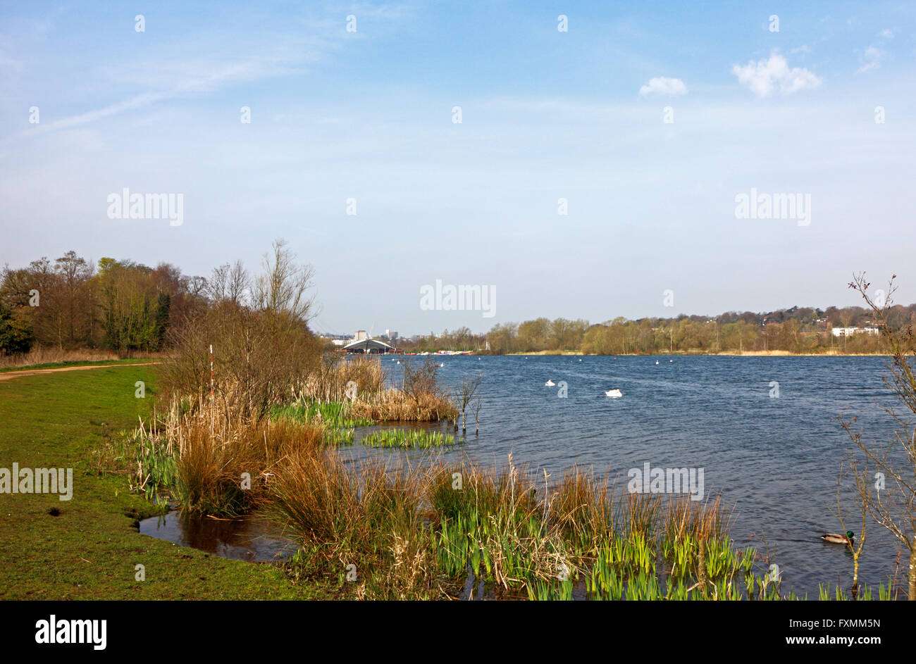 Whitlingham country park norwich hi-res stock photography and images ...