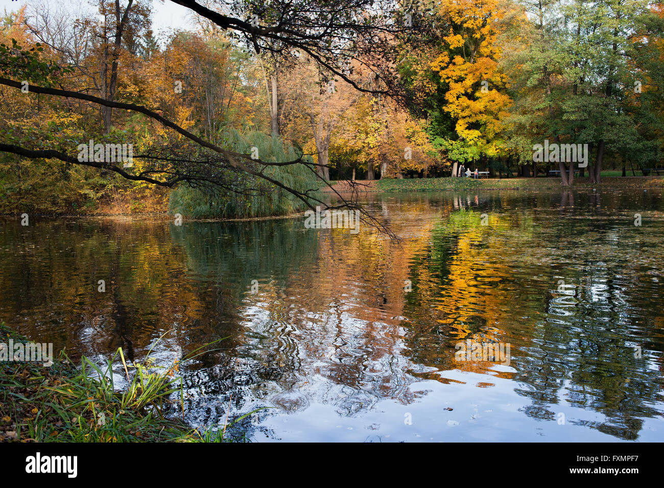 Lake in autumn Royal Lazienki Park, city of Warsaw, Poland Stock Photo ...