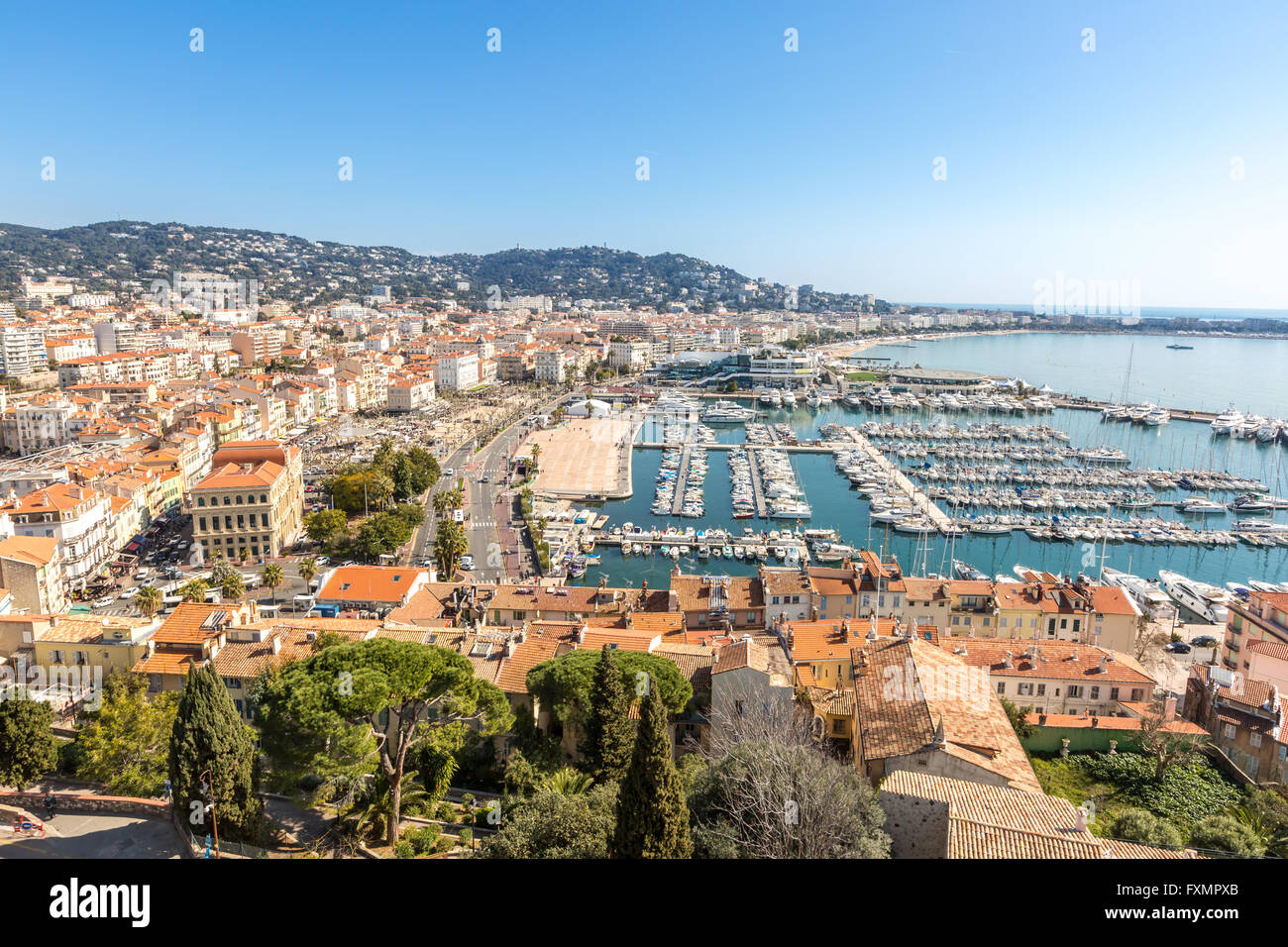 aerial view of Le Suquet- the old town and Port Le Vieux of Cannes ...