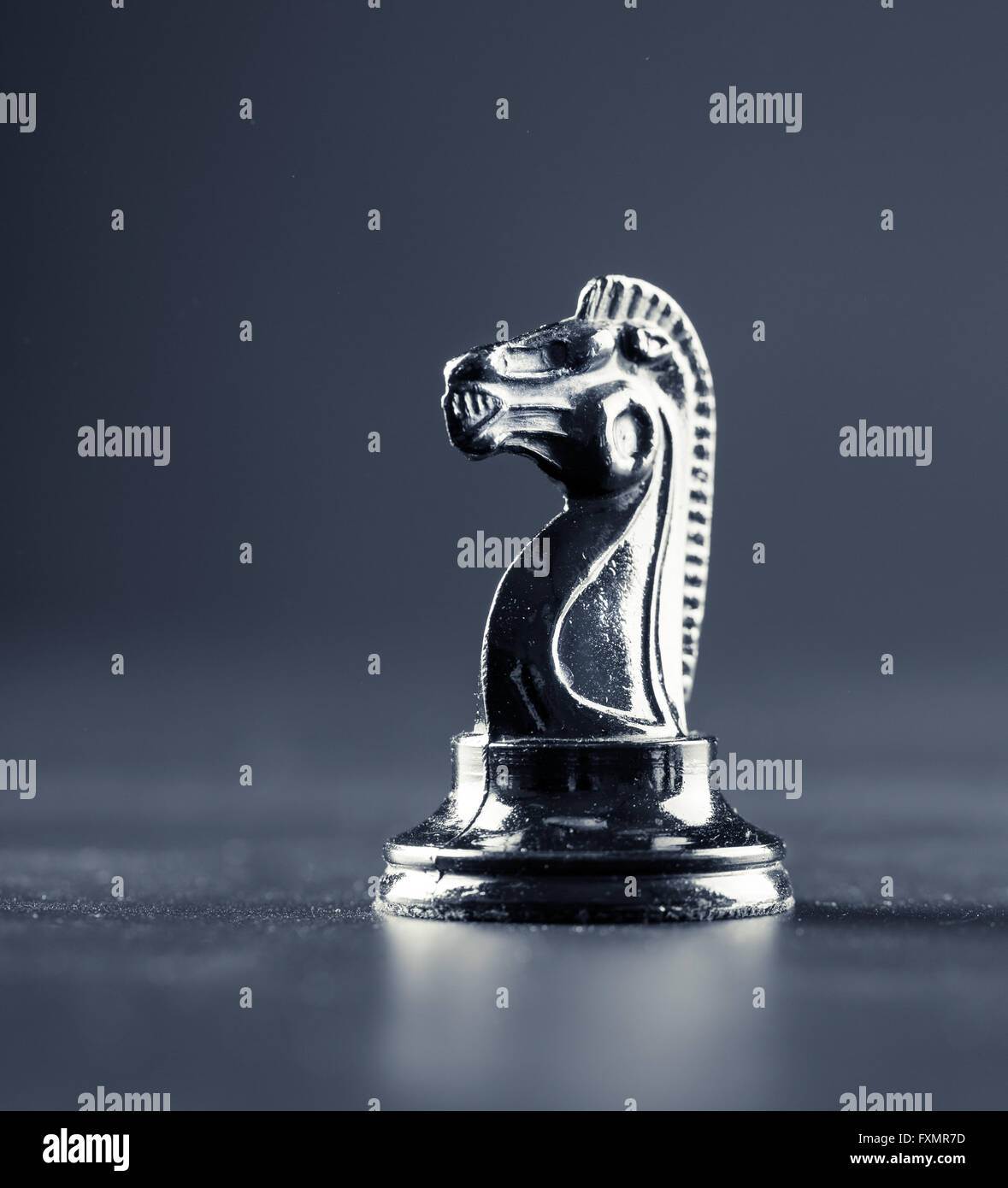 Black chess knight over black Stock Photo - Alamy