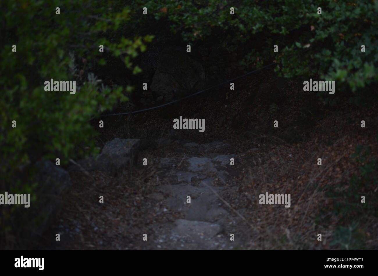 Photography of nature in the open space Stock Photo - Alamy